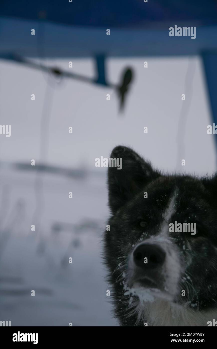 Round bottom boat hi-res stock photography and images - Alamy