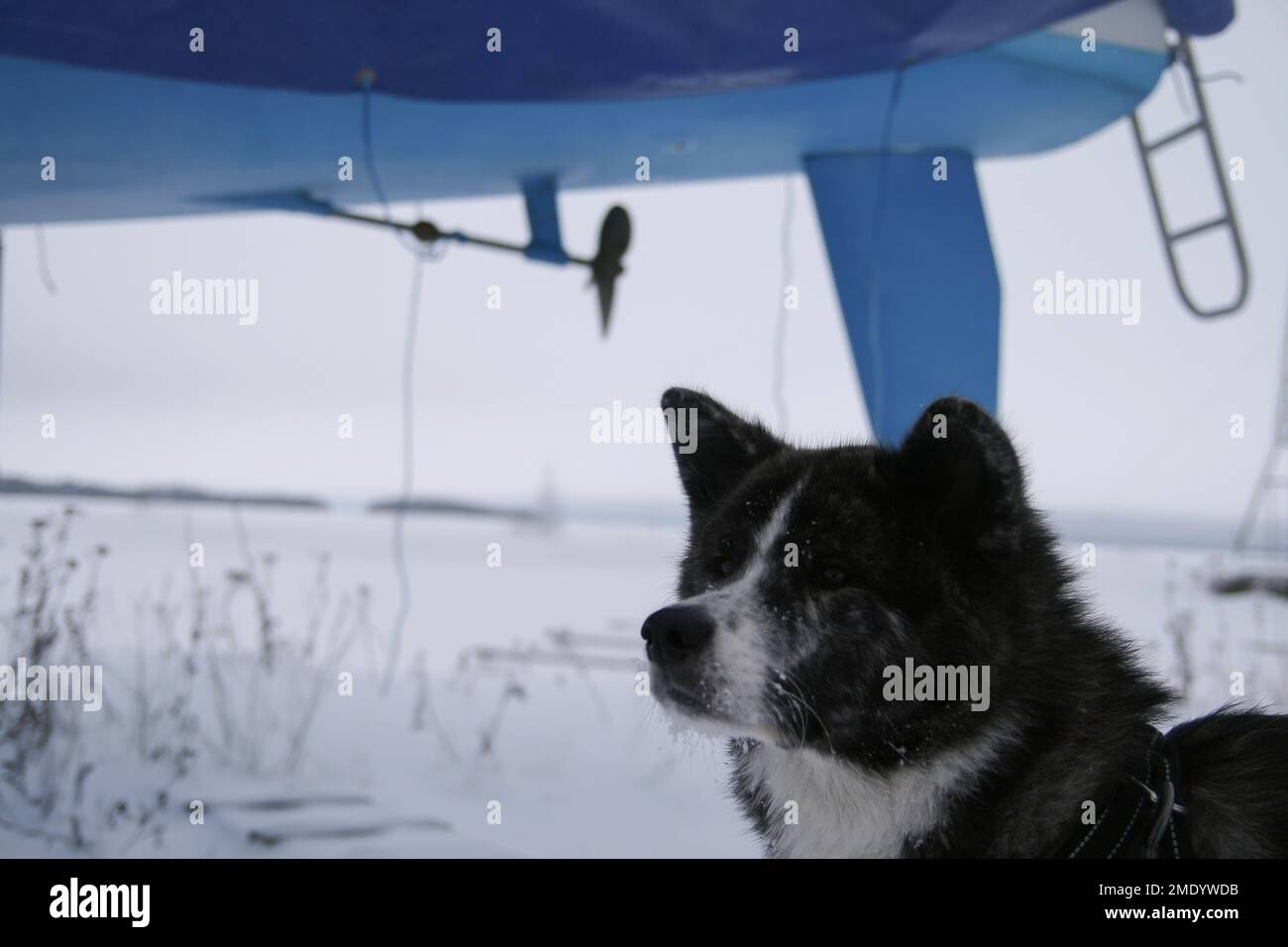 Round bottom boat hi-res stock photography and images - Alamy