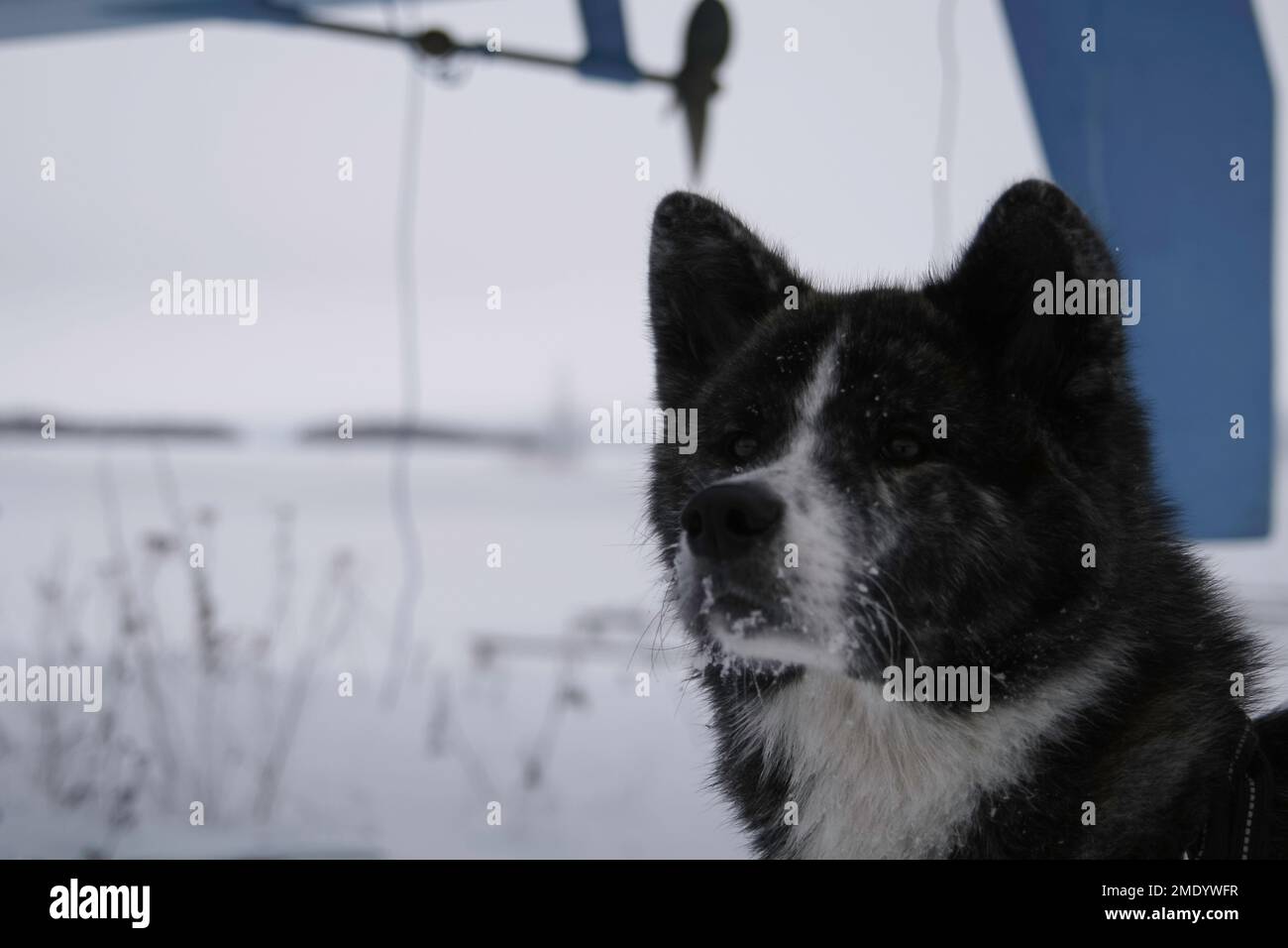 Round bottom boat hi-res stock photography and images - Alamy