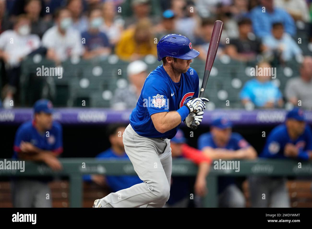 Chicago Cubs shortstop Andrew Romine (24) in the second inning of a ...