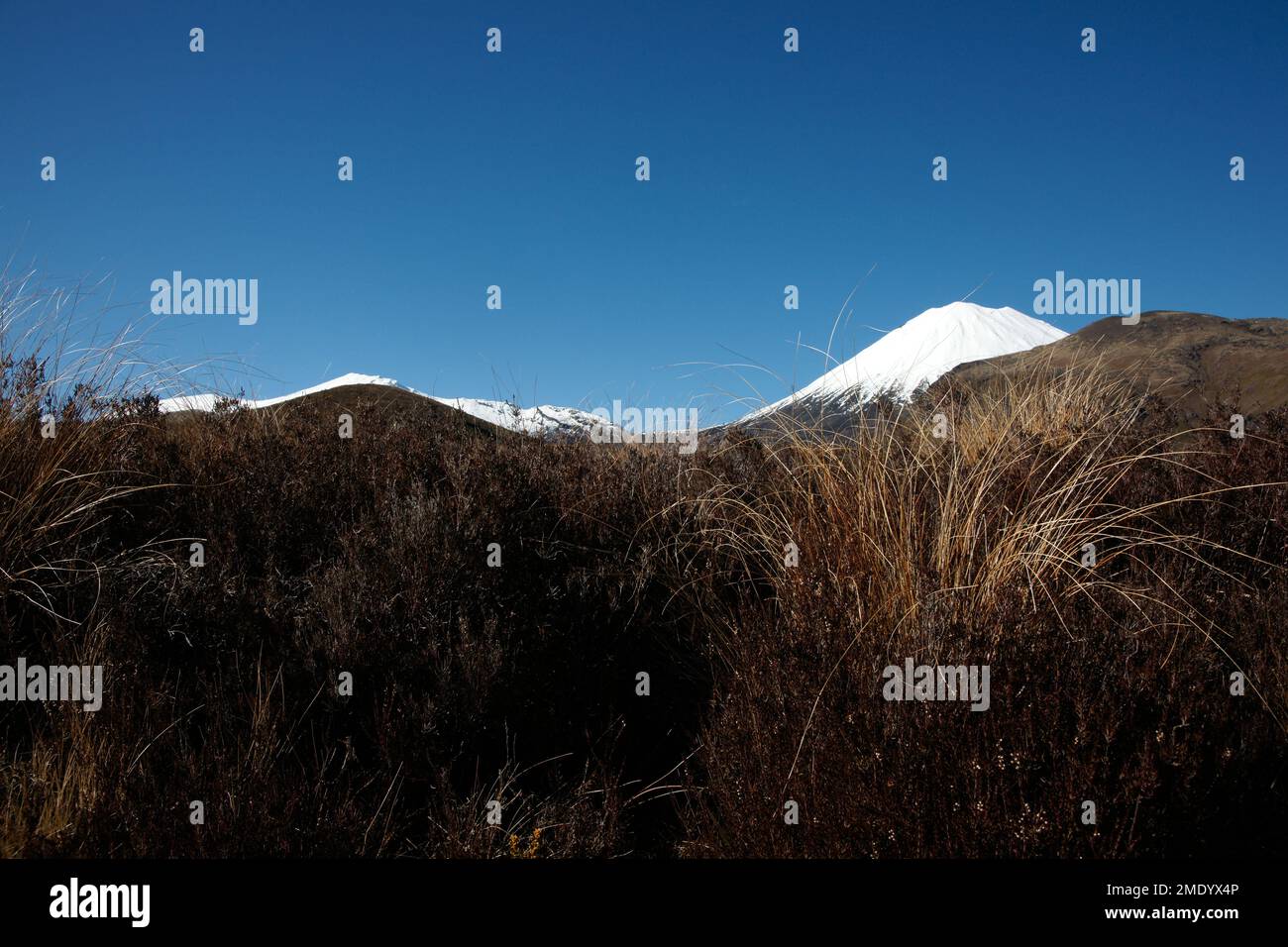 Rolling landscape of alpine vegetation leading to conical volcanic cone ...