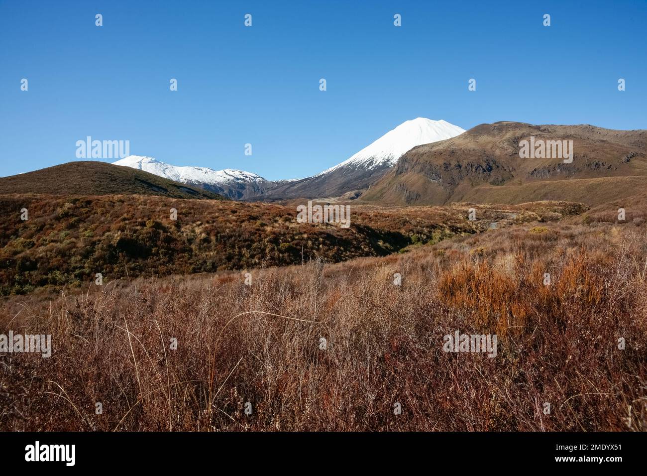 Rolling landscape of alpine vegetation leading to conical volcanic cone ...