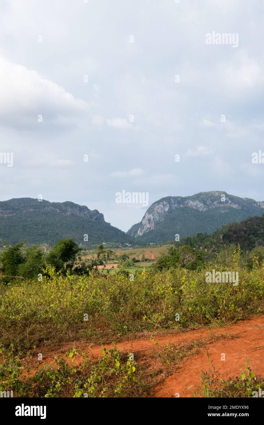Red, iron-rich soil in the Valle de Palmarito, Viñales, Cuba Stock ...