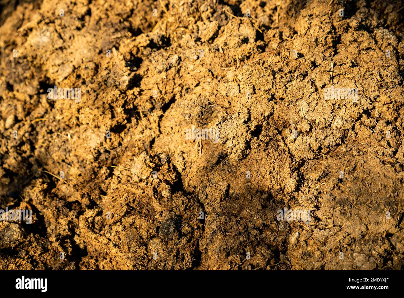 Heap Of Manure On Field , heap of animal manure brought to the field ...