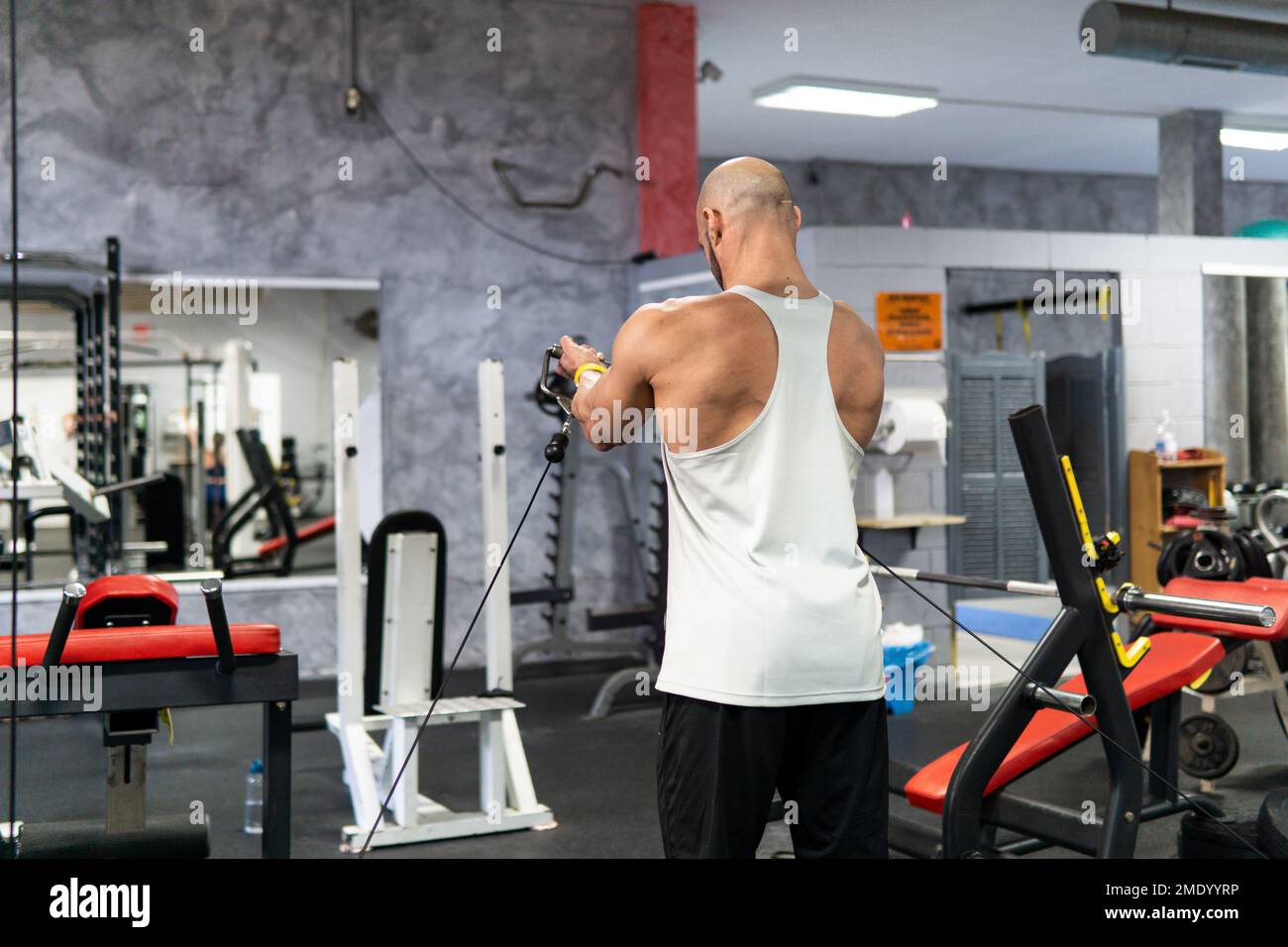 Back view of a caucasian young man doing biceps exercices in the gym ...