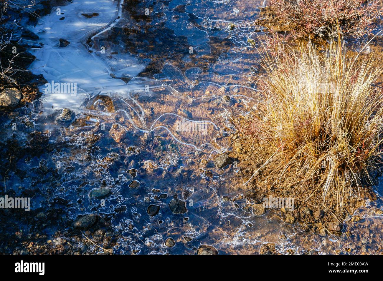 Icy puddle in landscape surrounded by alpine tussock with Mount ...