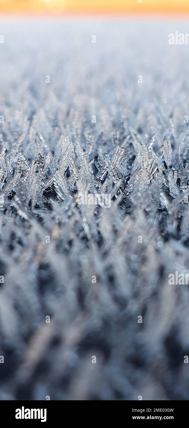 A selective focus of frost flakes in the field, vertical shot Stock ...