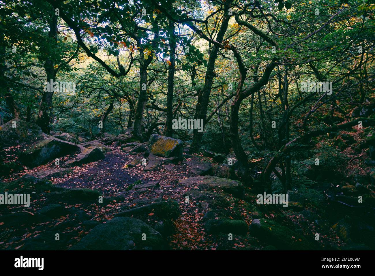 Padley Gorge, colours in this beautiful wooded valley in the Derbyshire ...