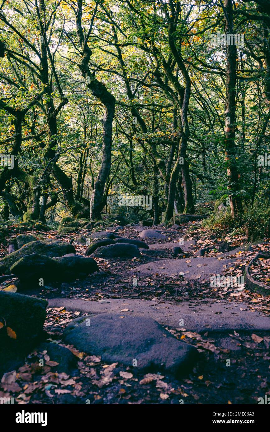 Padley Gorge, colours in this beautiful wooded valley in the Derbyshire ...