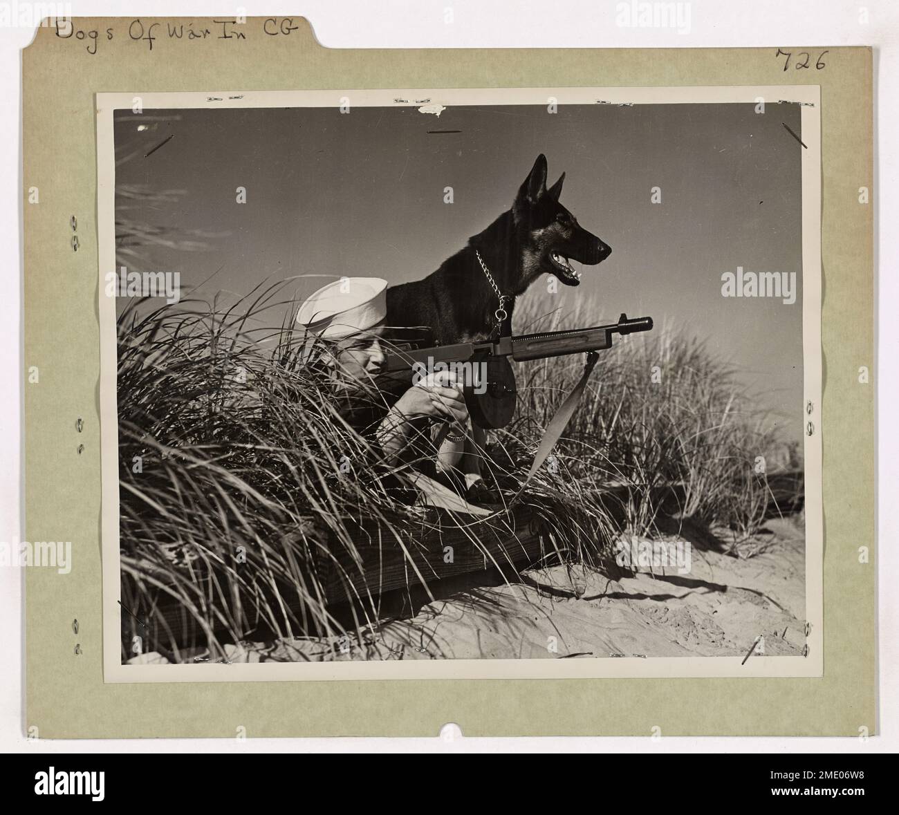 This image shows a trained Coast Guard dog giving a warning signal to a ...