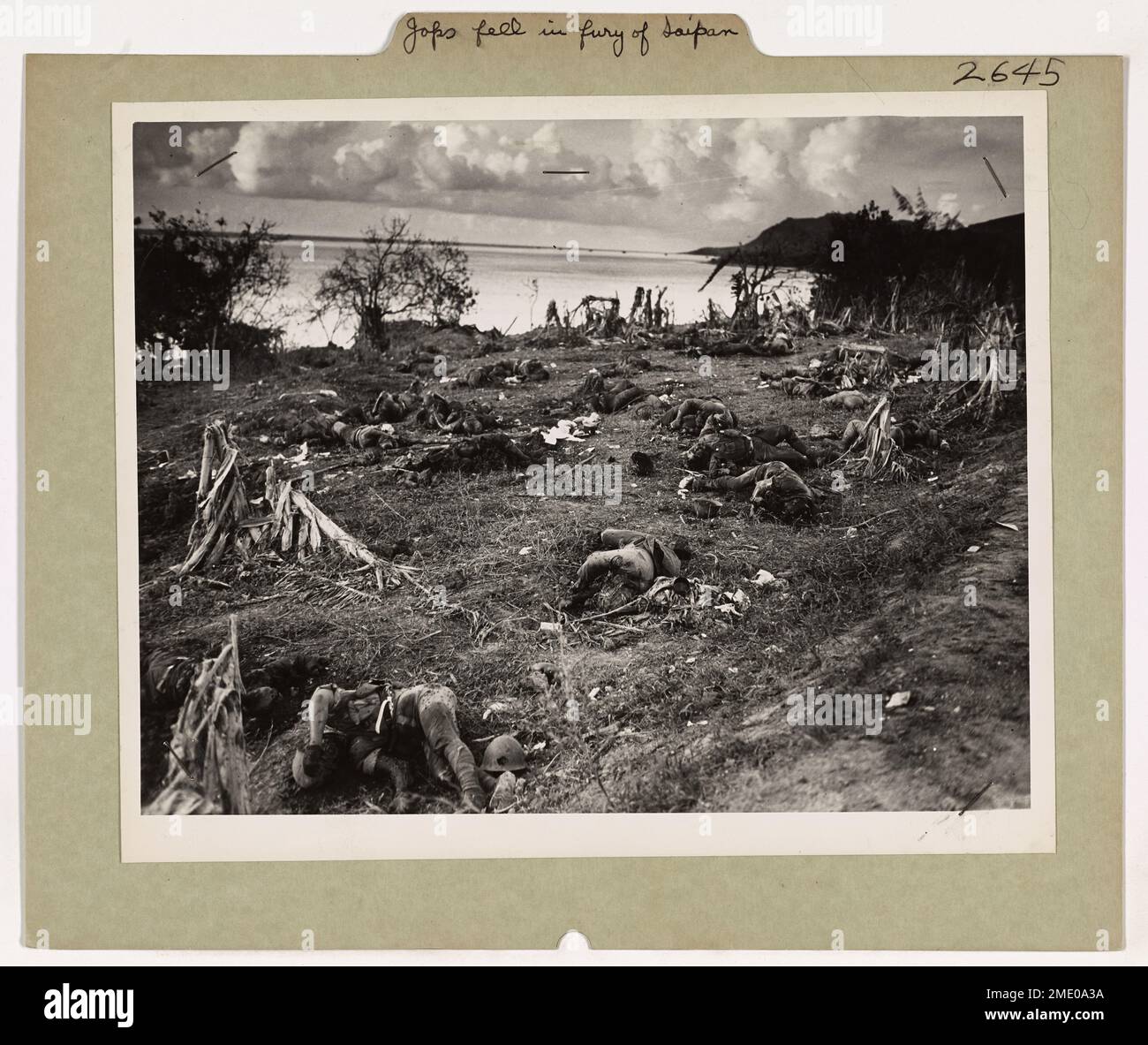 This photograph depicts the aftermath of the intense battle on Saipan ...