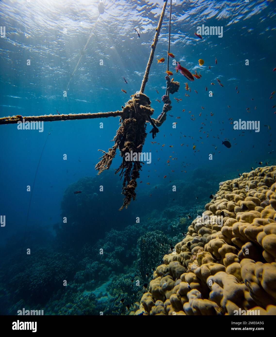 Underwater rope blue hi-res stock photography and images - Alamy