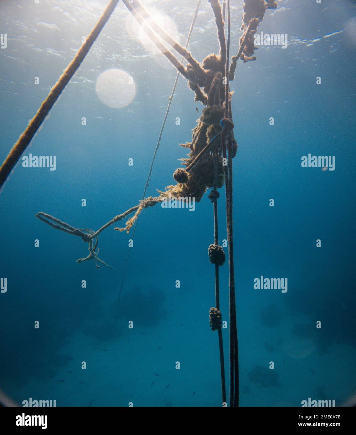 Rope underwater hi-res stock photography and images - Alamy
