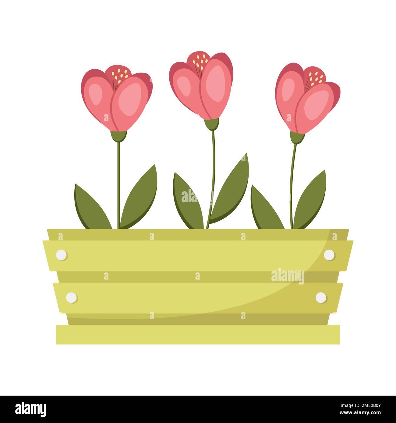 Woman box flowers Stock Vector Images - Alamy