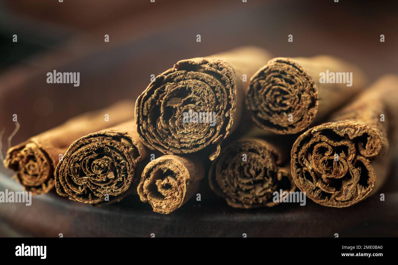 Organic Raw Brown cinnamon sticks Anise star spice fruits and seeds on ...