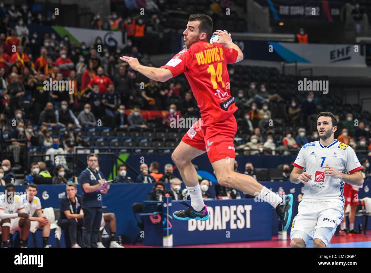 Milos vujovic handball hi-res stock photography and images - Alamy