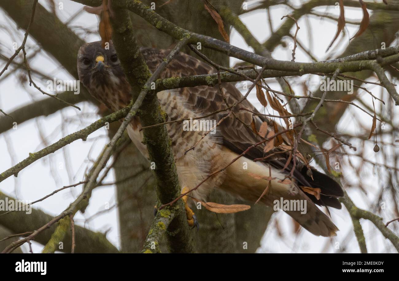 21 1 2023 hi-res stock photography and images - Alamy