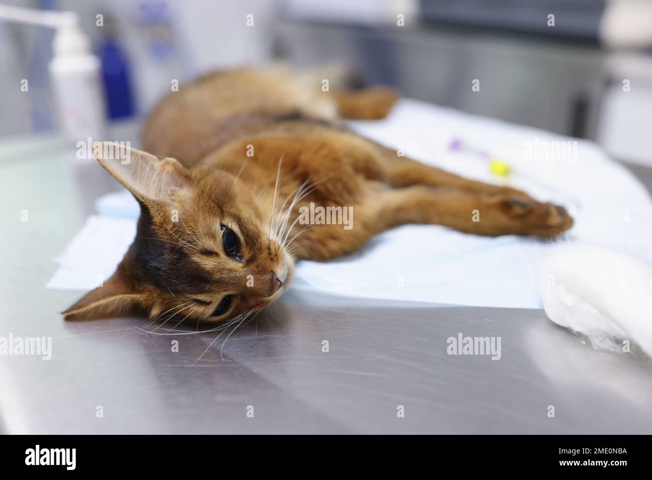 Lay on operating table hi-res stock photography and images - Alamy
