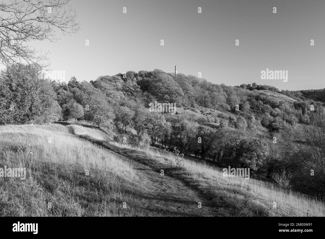 Landscape photo of the Admiral Hood Monument on the Polden Way footpath ...