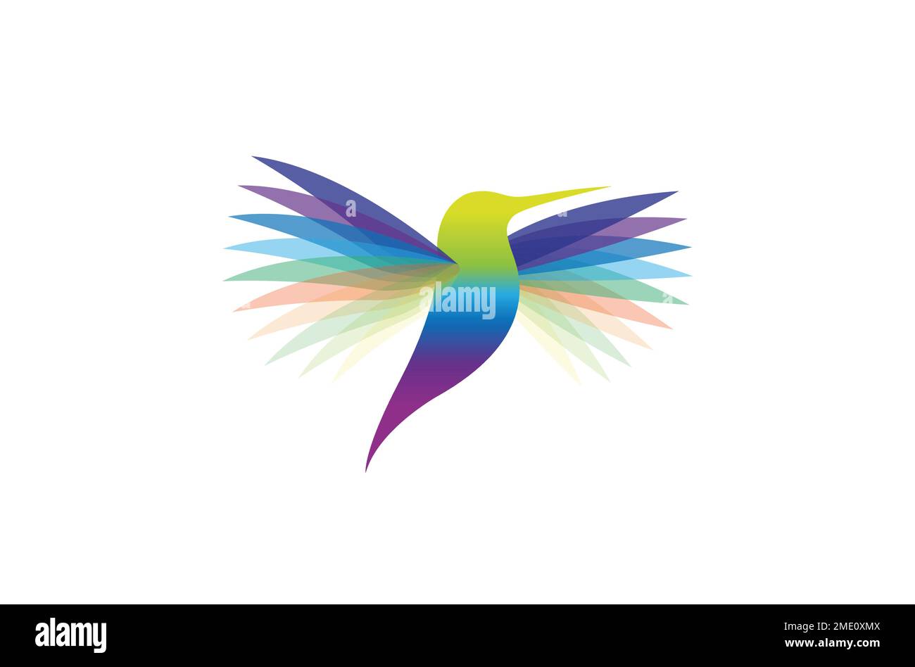 Hummingbird Colorful Bird Logo Vector Symbol Icon Sign Illustration ...