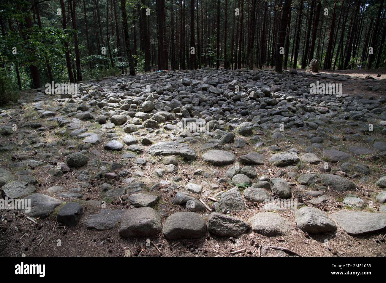 Stone Cirle of Prehistoric Goth burial ground Rezerwat przyrody ...