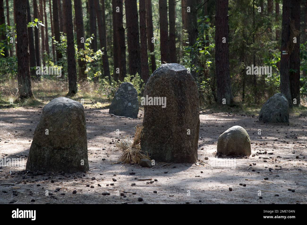 Stone Cirle of Prehistoric Goth burial ground Rezerwat przyrody ...