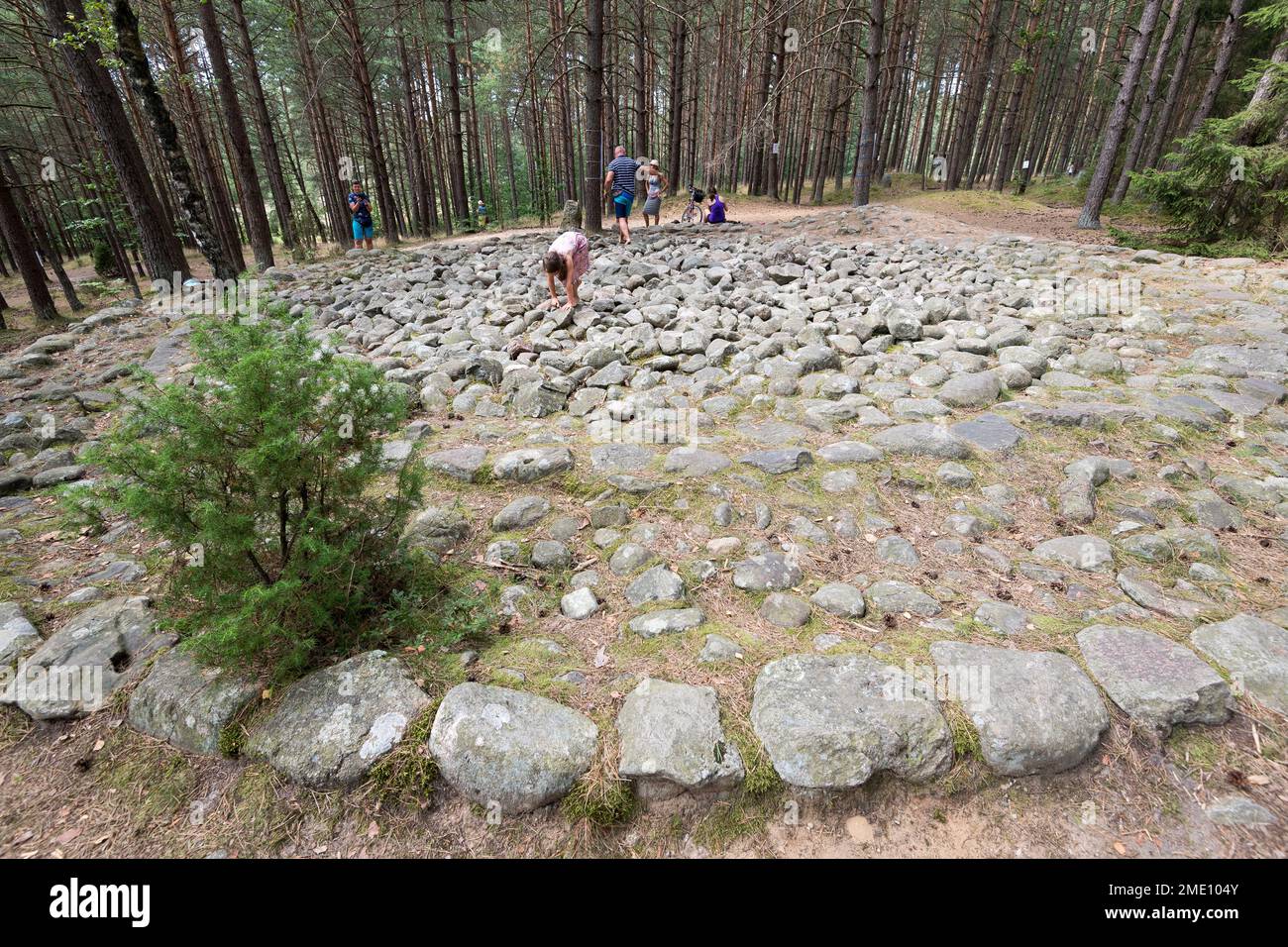 Stone Cirle of Prehistoric Goth burial ground Rezerwat przyrody ...