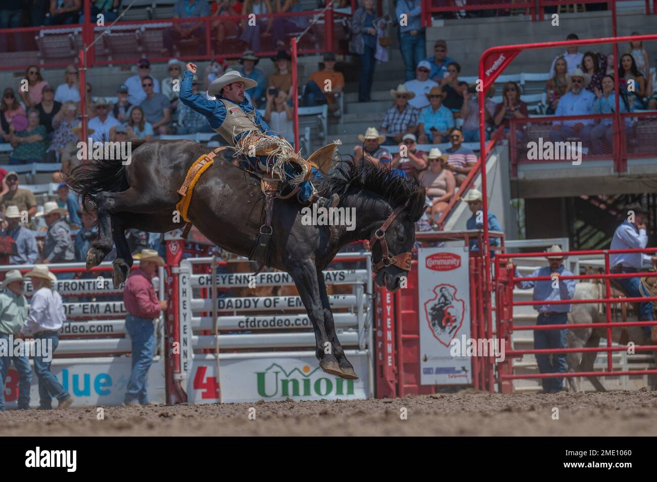 A cowboy rides a bucking bronco during Cheyenne Frontier Days, July 26 ...