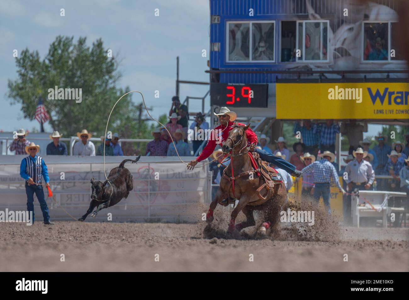 A cowboy participates in calf roping during Cheyenne Frontier Days ...