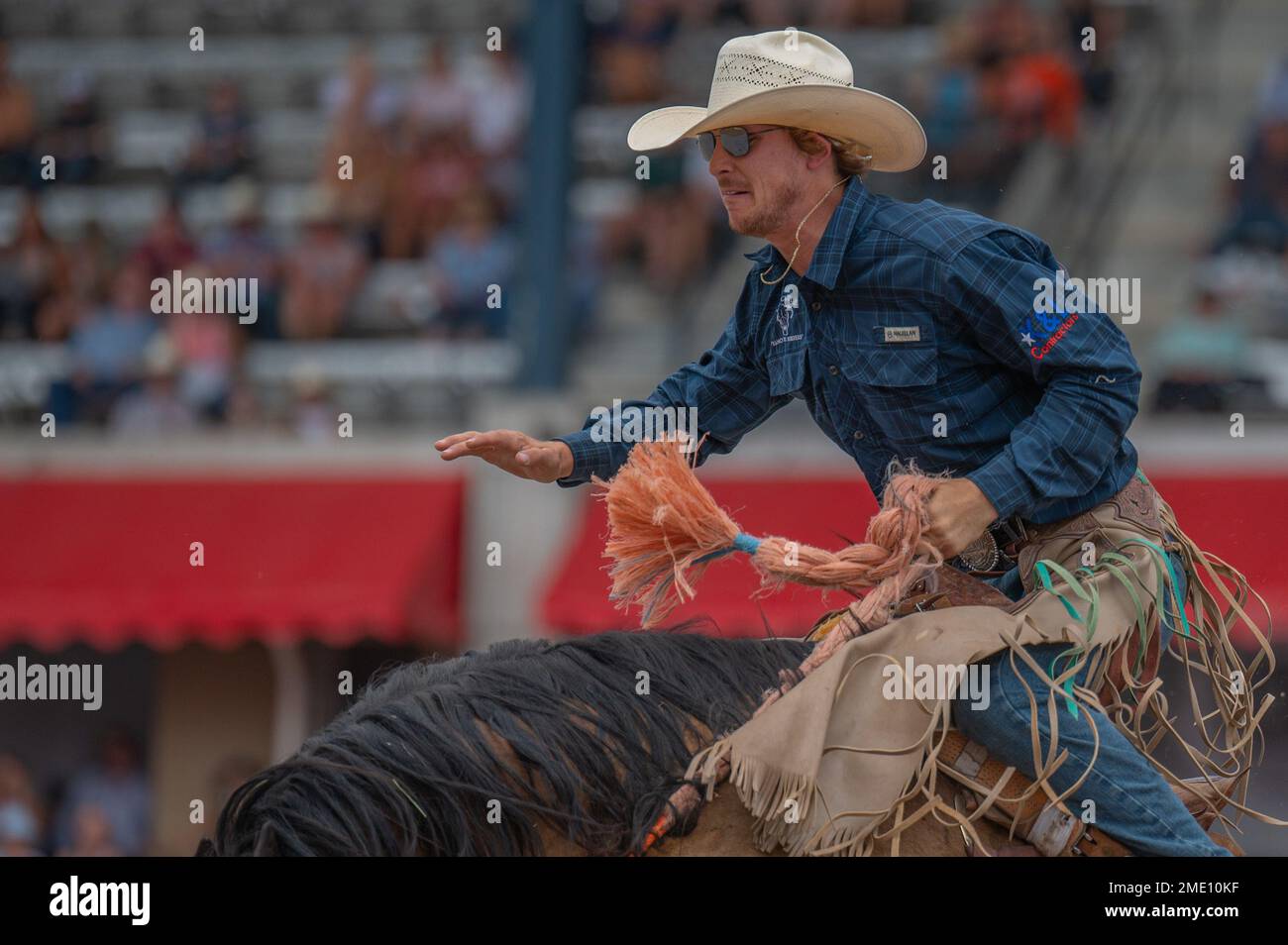 A cowboy holds on to a bucking bronco during Cheyenne Frontier Days ...