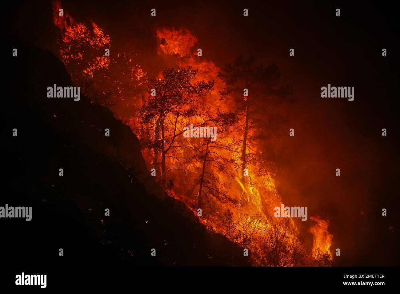 Trees burn in an advancing fire that rages Cokertme village, near ...