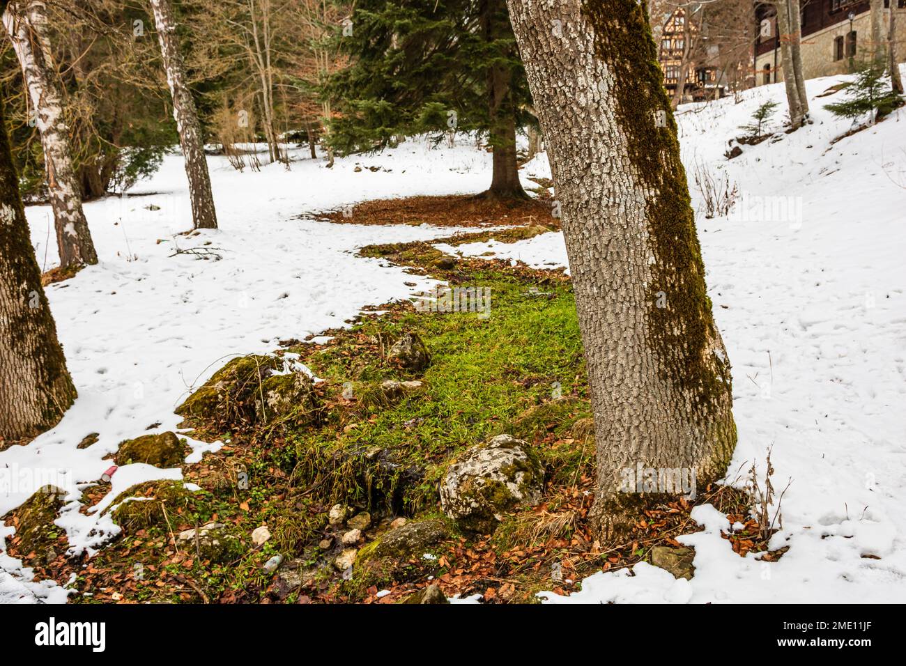 Europe winter scenery with frozen landscape Stock Photo - Alamy