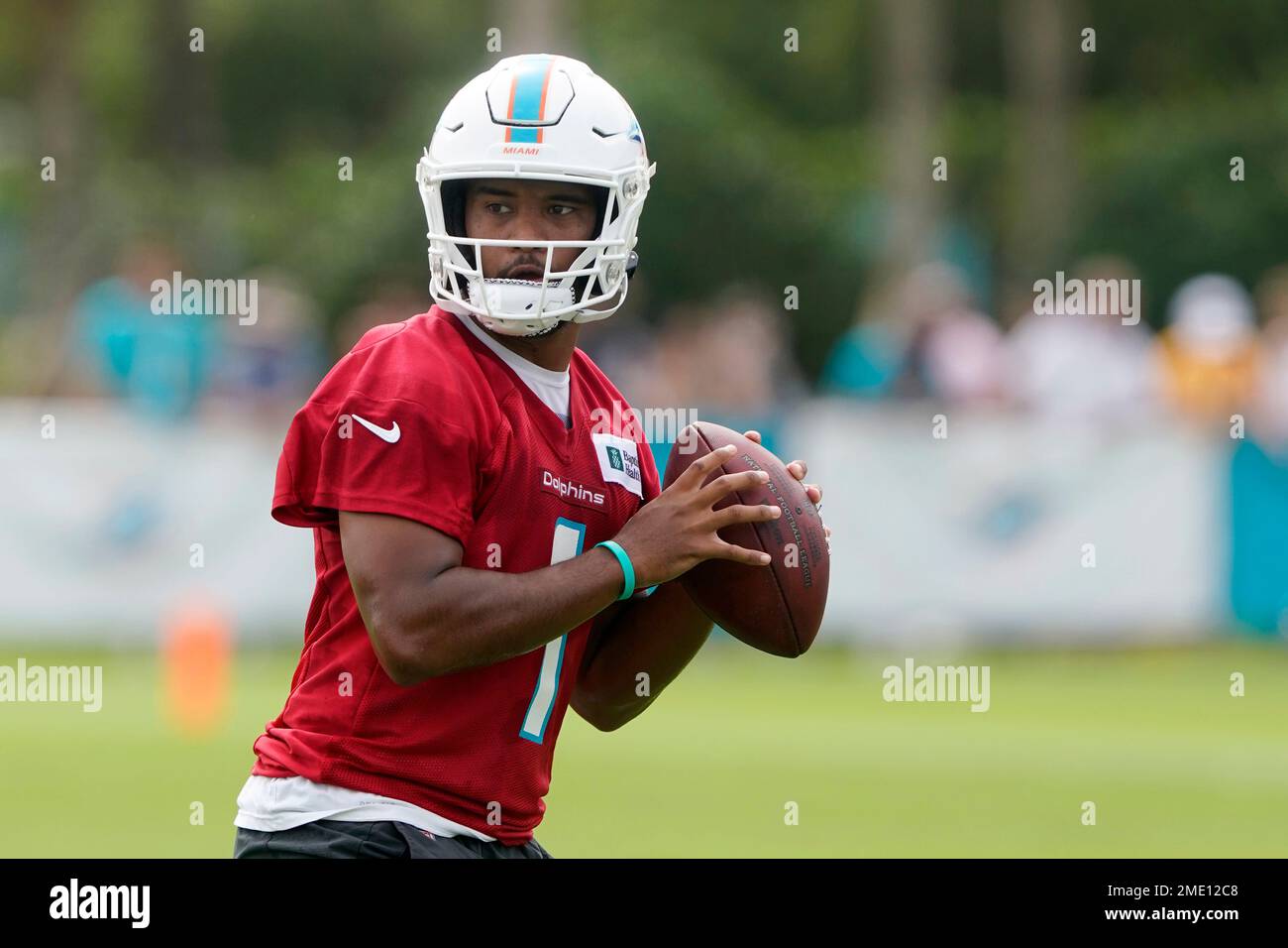 Miami Dolphins quarterback Tua Tagovailoa (1) prepares to pass during ...