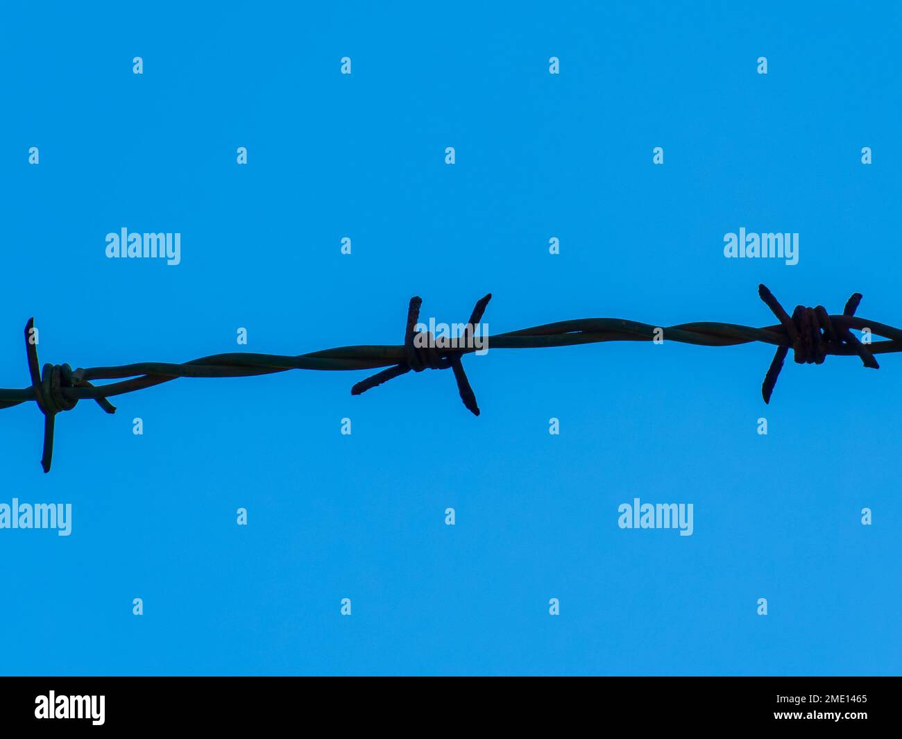 Barbed wire sharp close up barb wire metal hi-res stock photography and ...