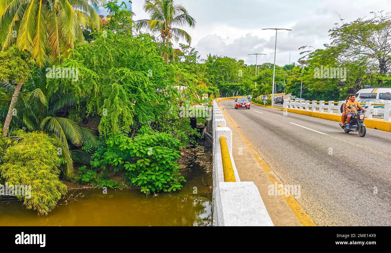 Green beautiful tropical river Freshwater Lagoon in Zicatela Puerto ...