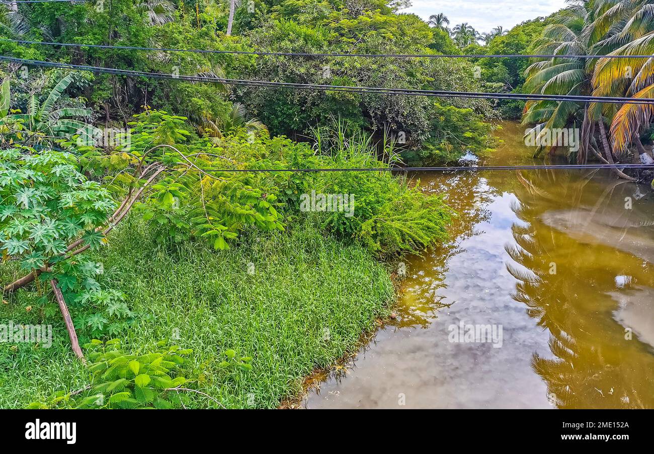 Green beautiful tropical river Freshwater Lagoon in Zicatela Puerto ...