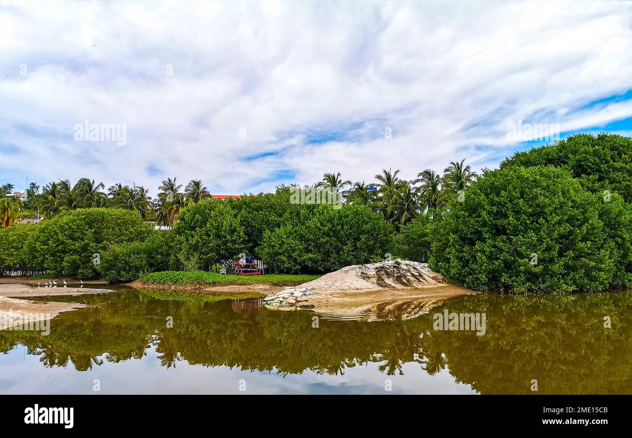 Green beautiful tropical river Freshwater Lagoon in Zicatela Puerto ...