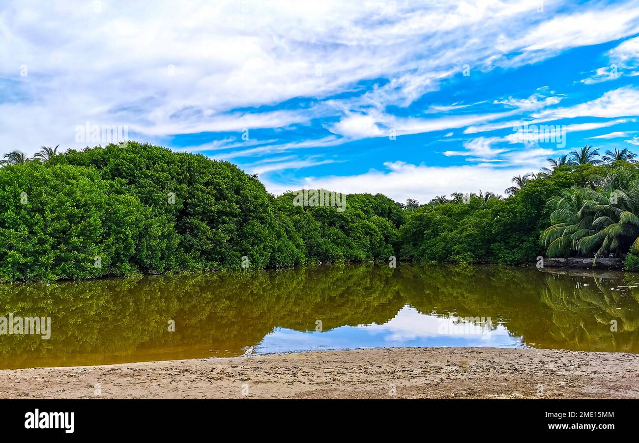 Green beautiful tropical river Freshwater Lagoon in Zicatela Puerto ...