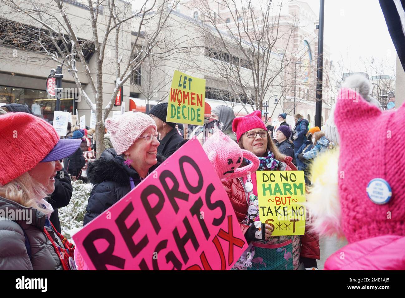 Bigger Than Roe March, Madison, Wisconsin, January 22, 2023 Stock Photo ...