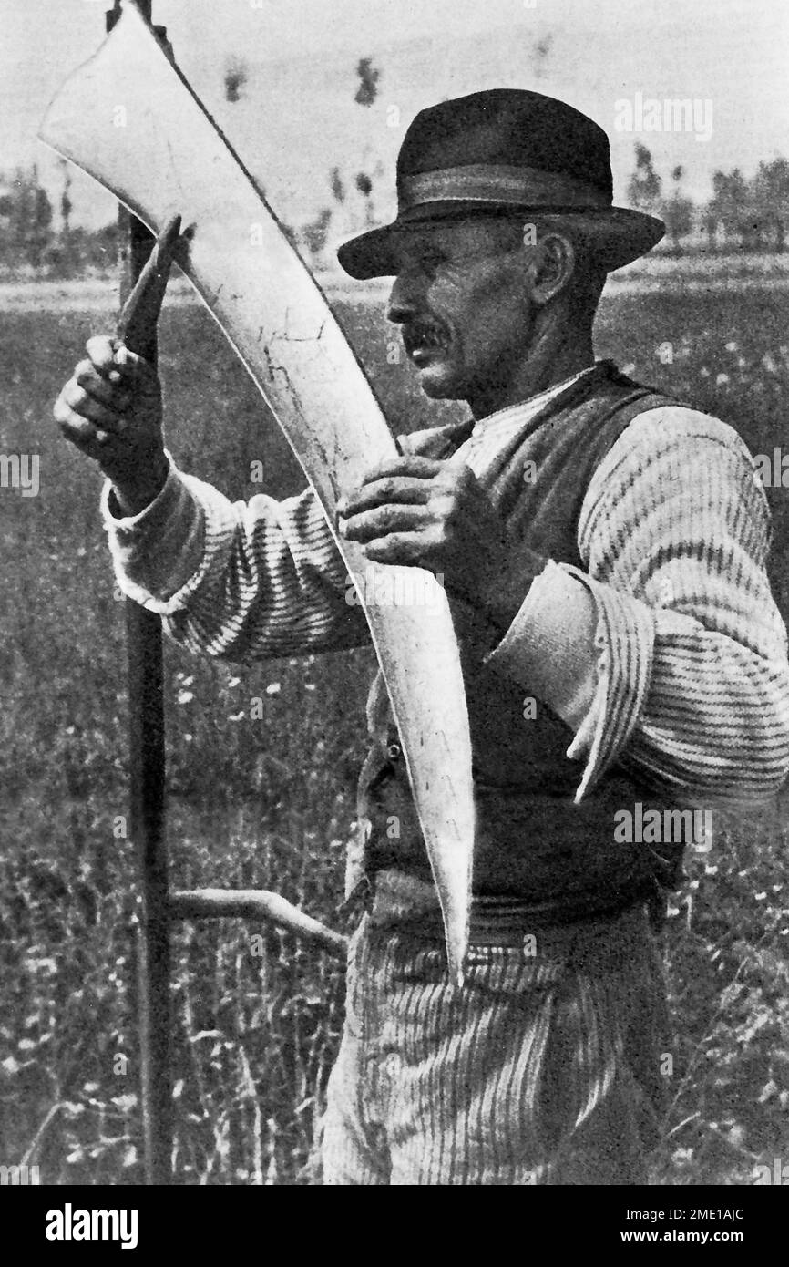 Agricoltura e Allevamento - Affilatura e martellatura della falce Stock ...