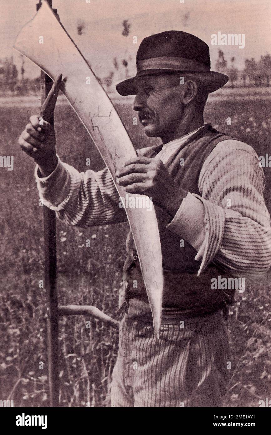 Agricoltura e Allevamento - Affilatura e martellatura della falce Stock ...