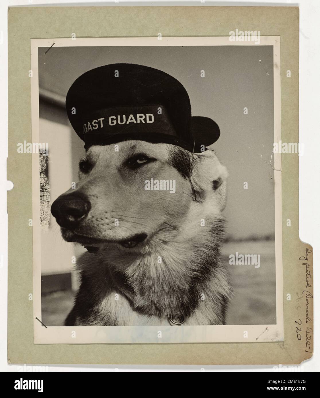 The image features a Coast Guard dog named Barnacle Bill posing with ...