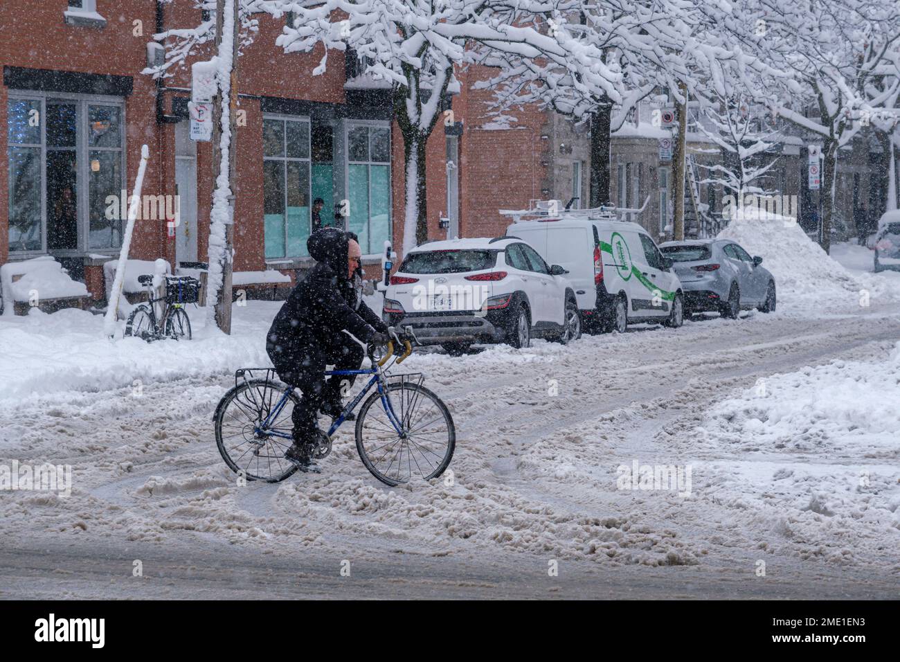 Montreal, CA, 17 December 2022 : Woman riding bike on Rachel Avenue ...