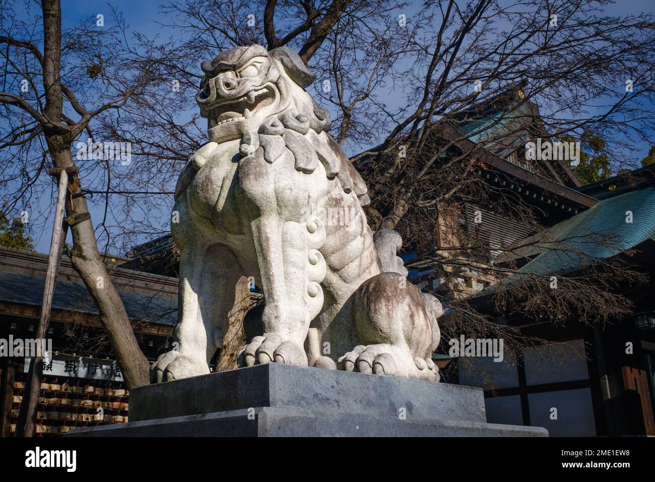 The komainu (狛犬) of Samukawa Shrine consists of the standard pair of ...