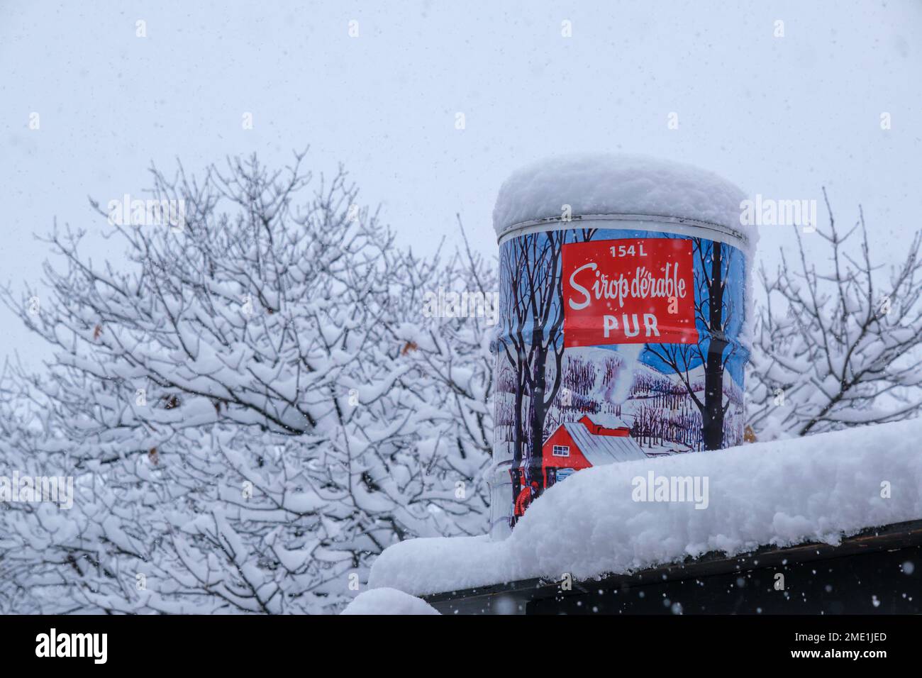 Montreal, CA - 17 December 2022: Giant can of maple syrup (in french ...