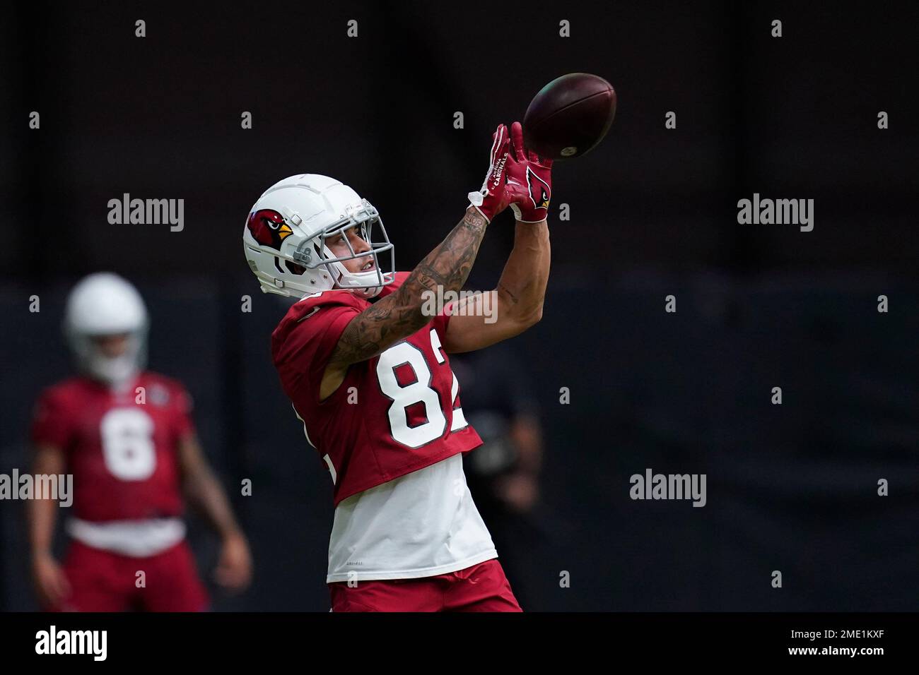 Arizona Cardinals wide receiver Andre Baccellia reaches up to make a ...