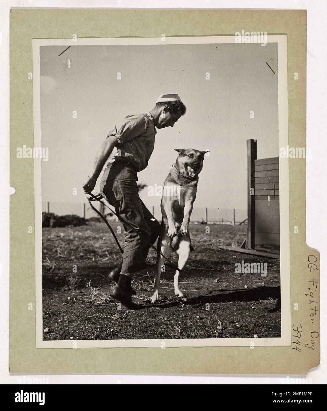 This image portrays a Coast Guardsman and his German Shepherd, training ...