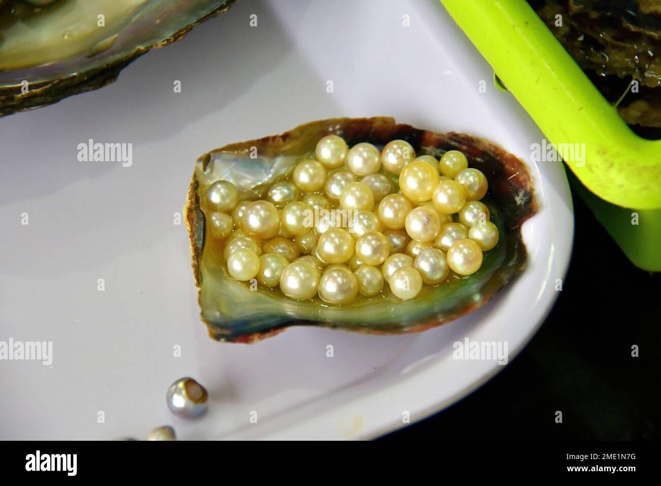 pearls, pearl farm at Halong Bay, Vietnam, Asia Stock Photo - Alamy