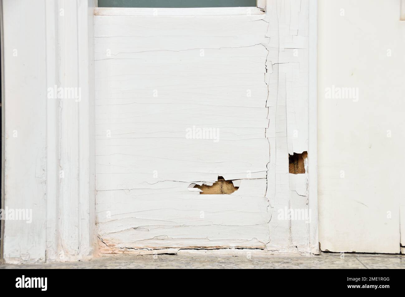 The wood door with termites damage Stock Photo - Alamy