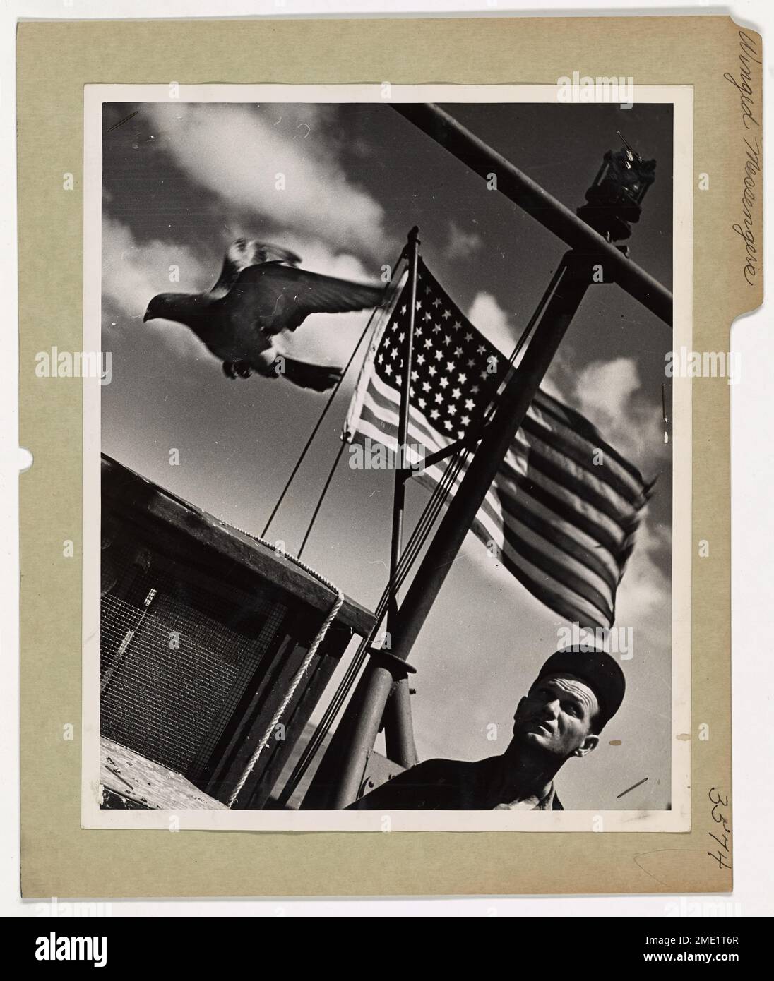 An Army Signal Corps pigeon trains as a ship-to-shore dispatch carrier ...